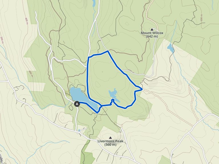 Benedict Pond via Appalachian Trail and Mount Wilcox Trail Loop ...